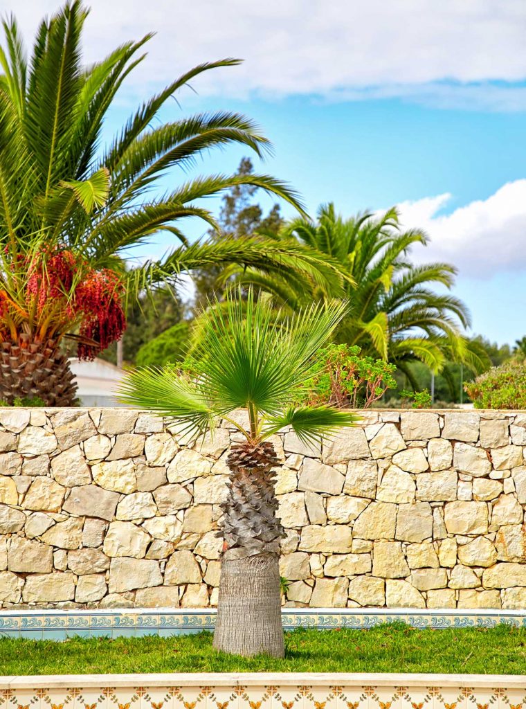 Diseño de Exteriores y Paisajismo - Fahala Garden